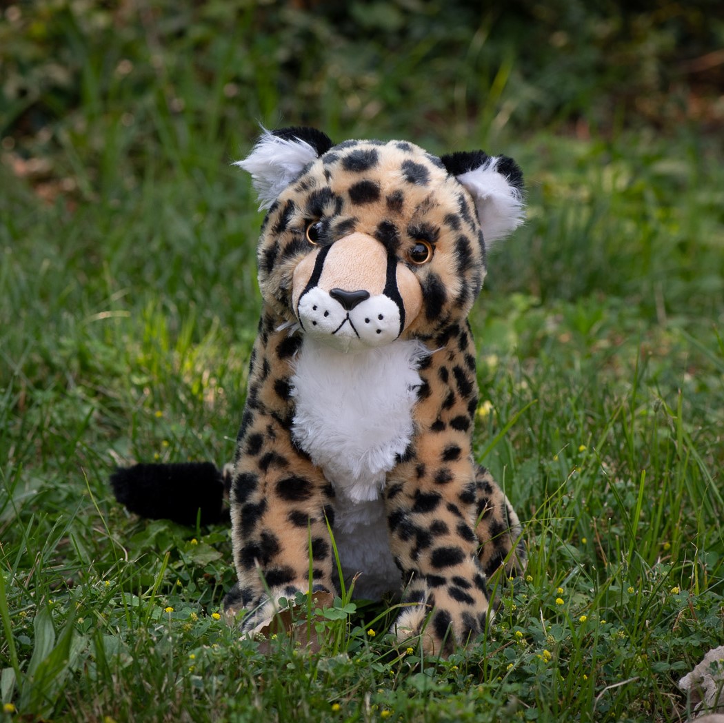 Adopt an Animal | The Wilds