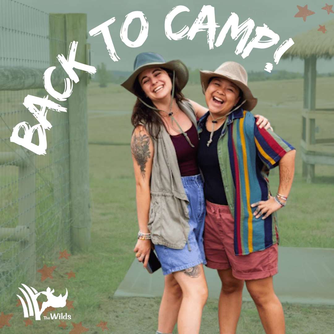 The Wilds | Summer Camp for Adults