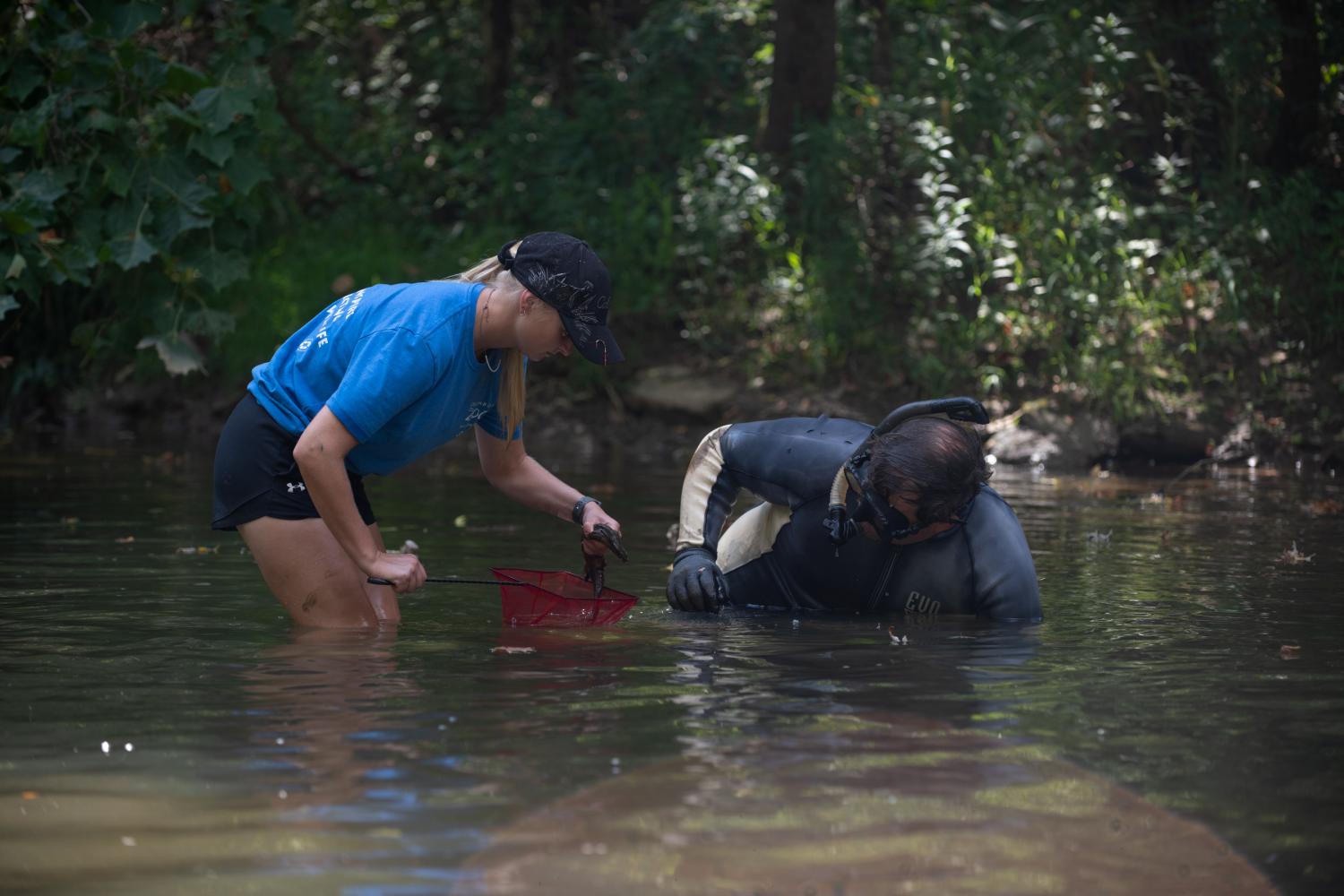 Hellbenders | The Wilds