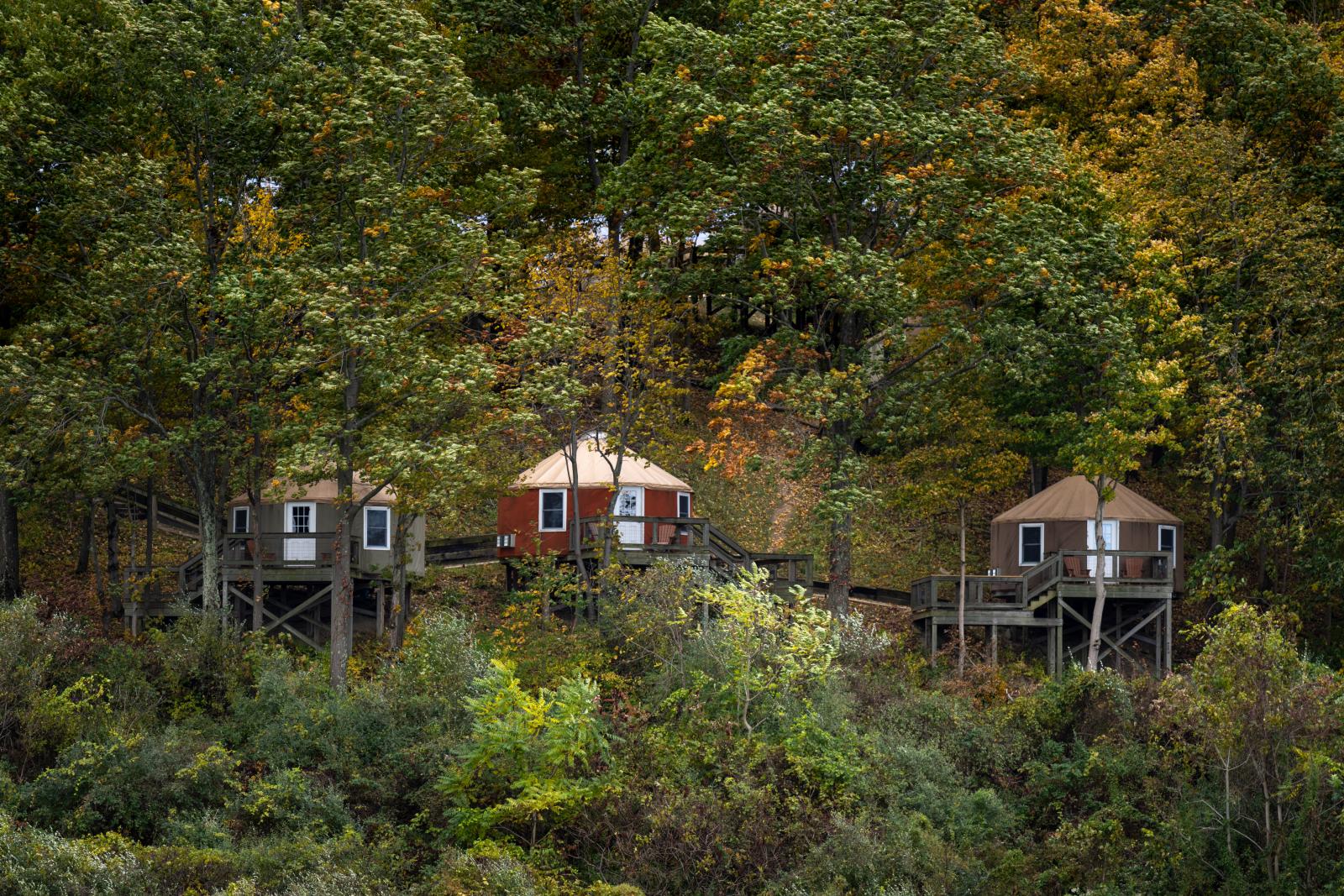 Luxurious Yurts | The Wilds